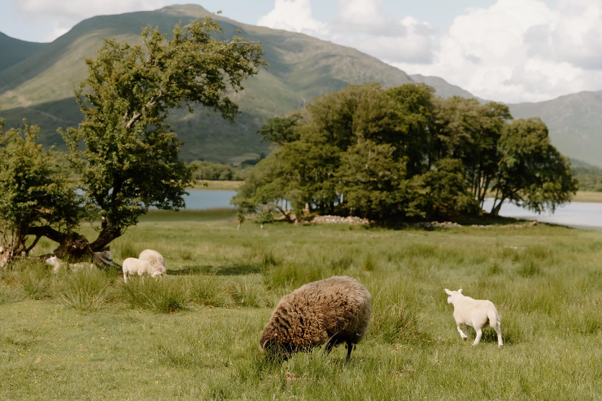 How to Visit the Kilchurn Castle Panorama Viewpoint in Scotland (2026 ...