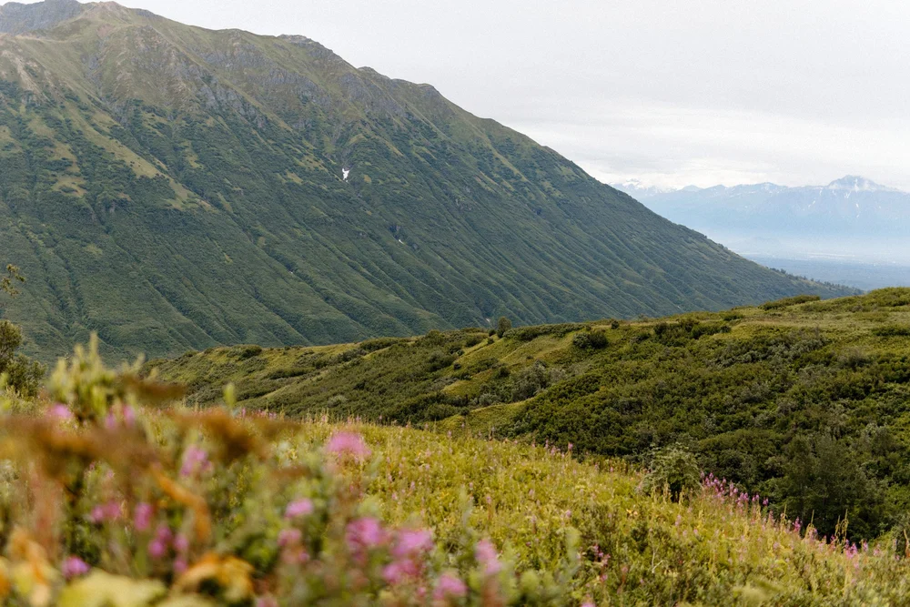 Ultimate Hatcher Pass, Alaska Guide: Things to Do + Travel Tips