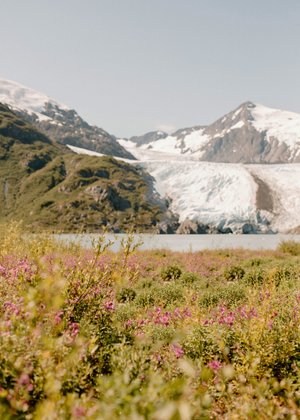 5 Easy Hikes with Stunning Views near Anchorage, Alaska | Trail Guide ...