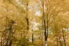 How to See Lake George in the Fall: 10 Best Things to Do