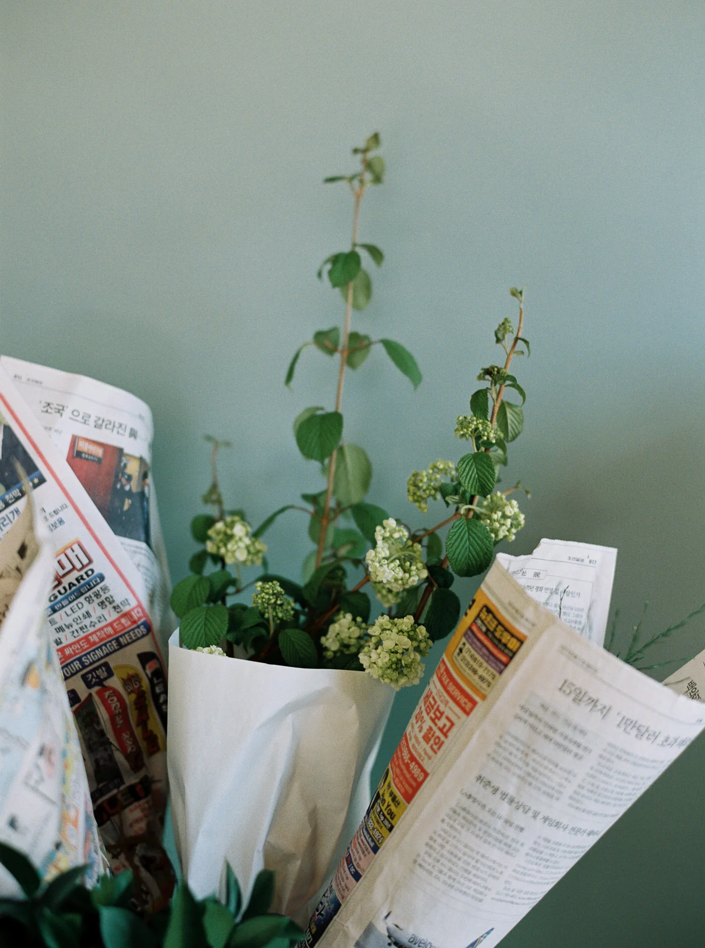 Creative Playtime: An Interview With Juju From PÜL flower LA ...