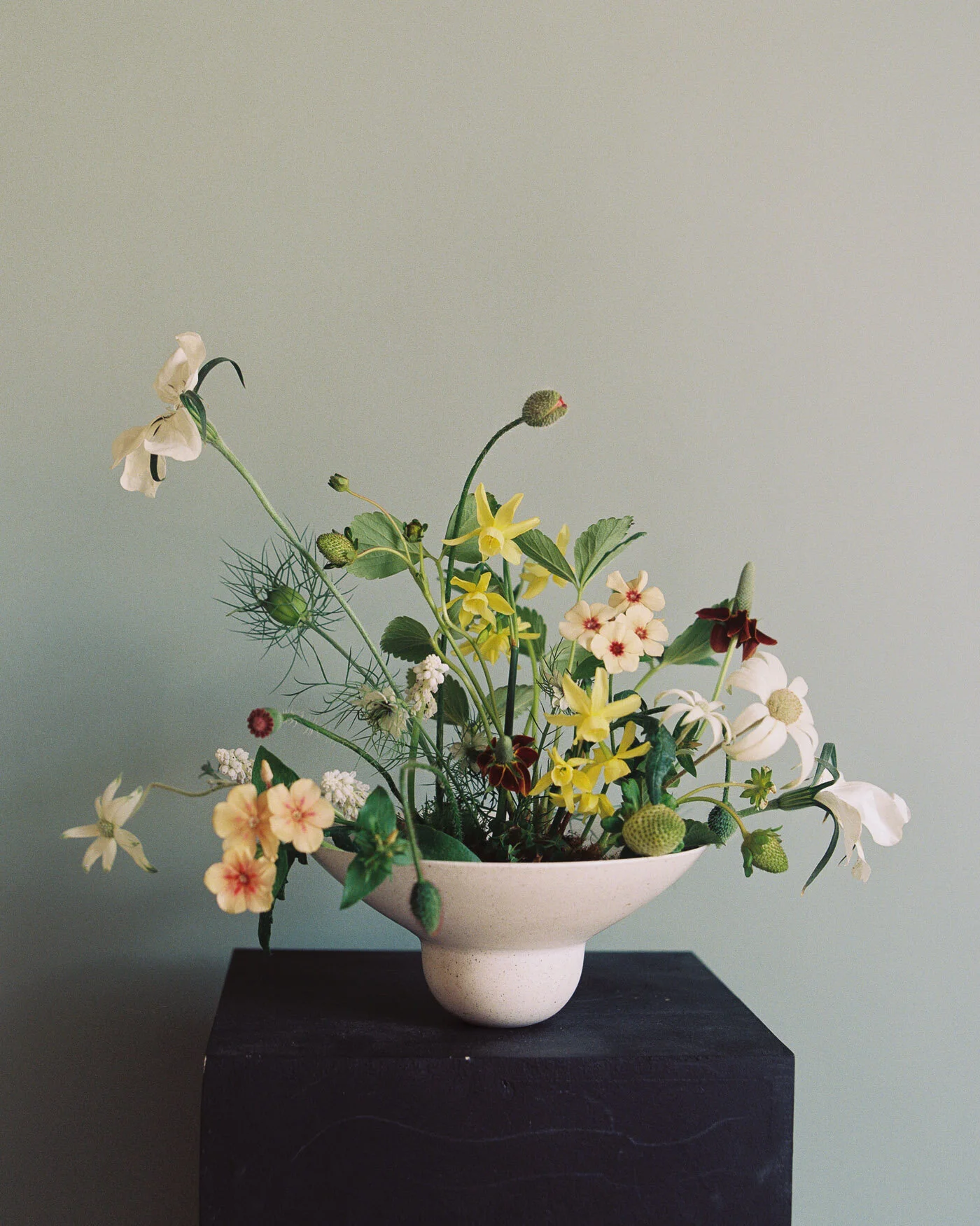 Creative Playtime: An Interview With Juju From PÜL flower LA ...