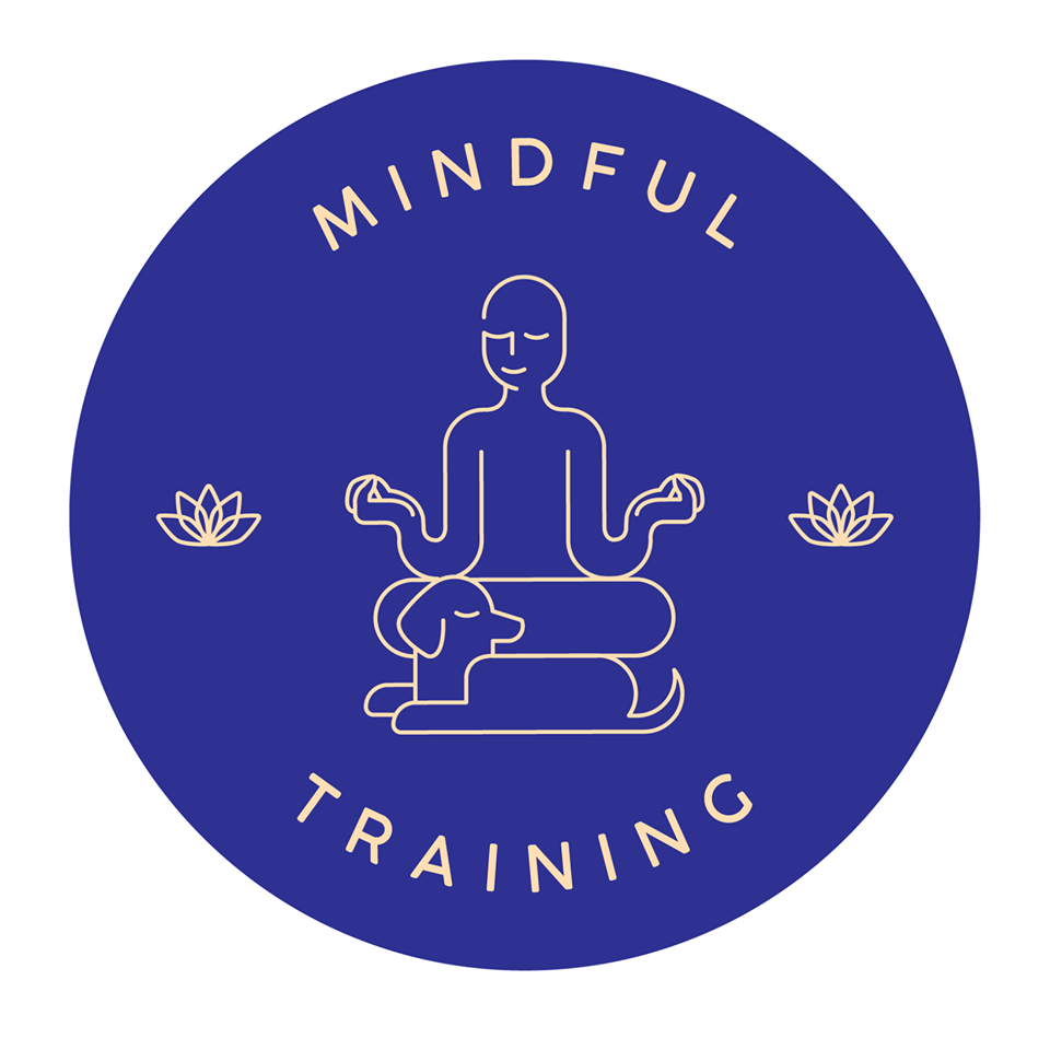 At home Dog Training in Austin - Mindful Training ATX