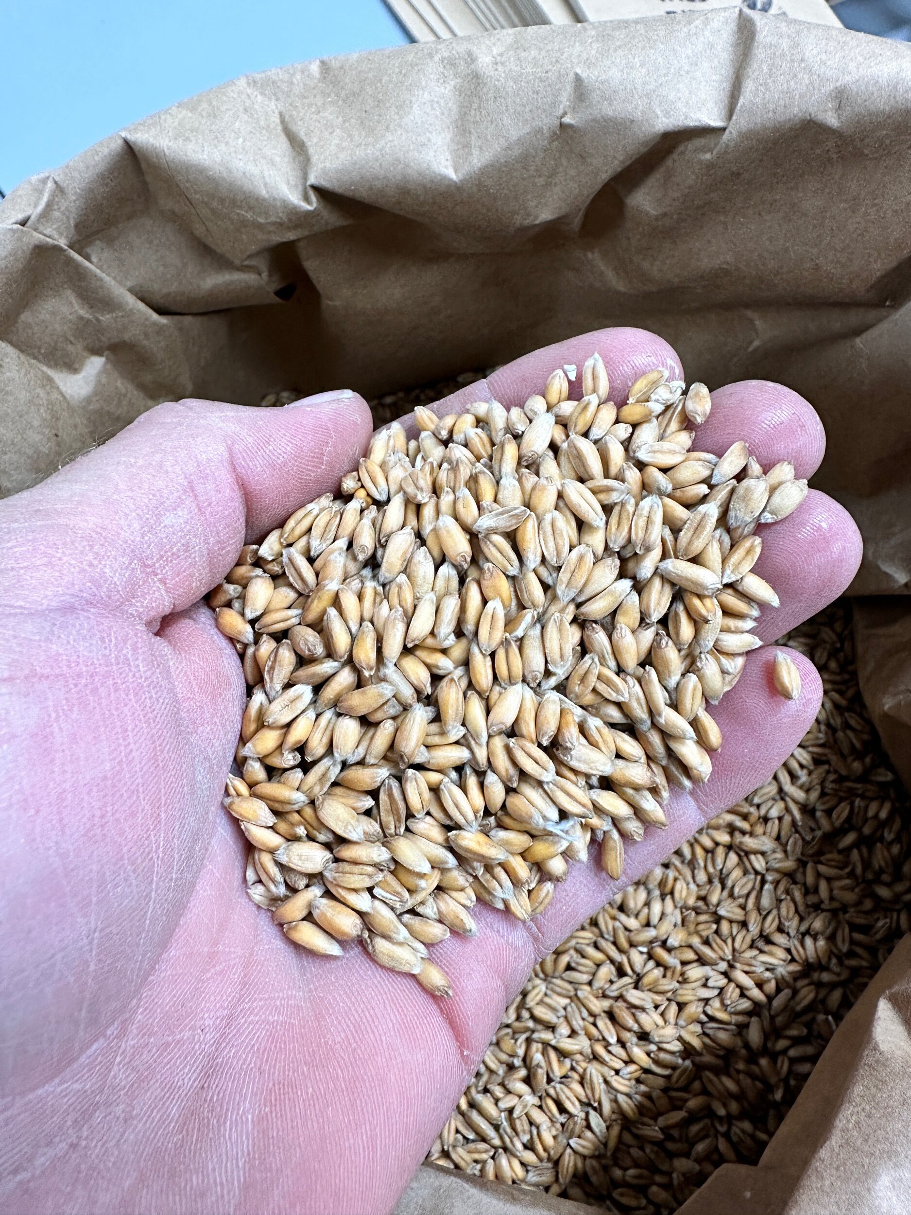 Shop — Ohio Till Farmstead