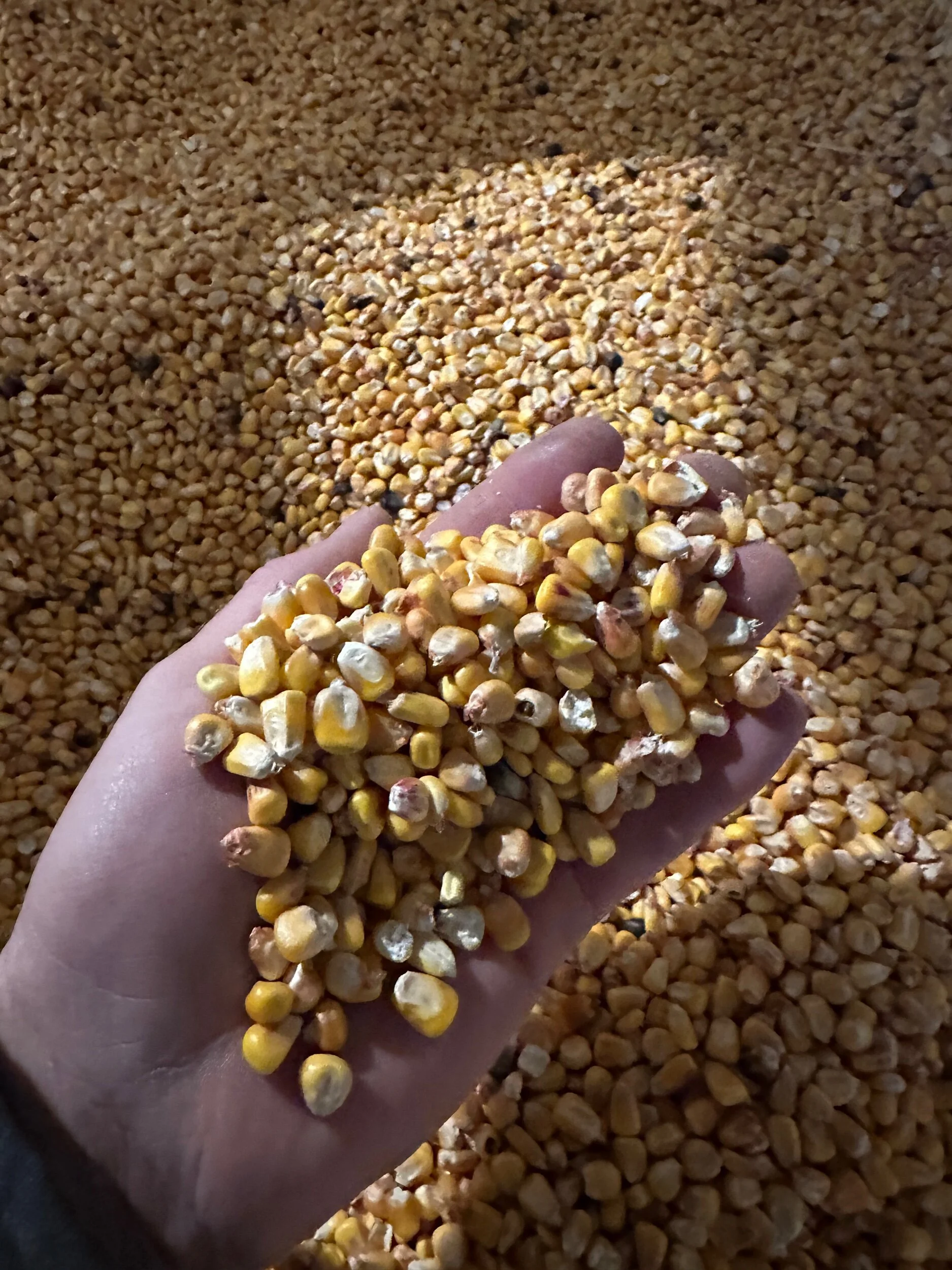 Shop — Ohio Till Farmstead