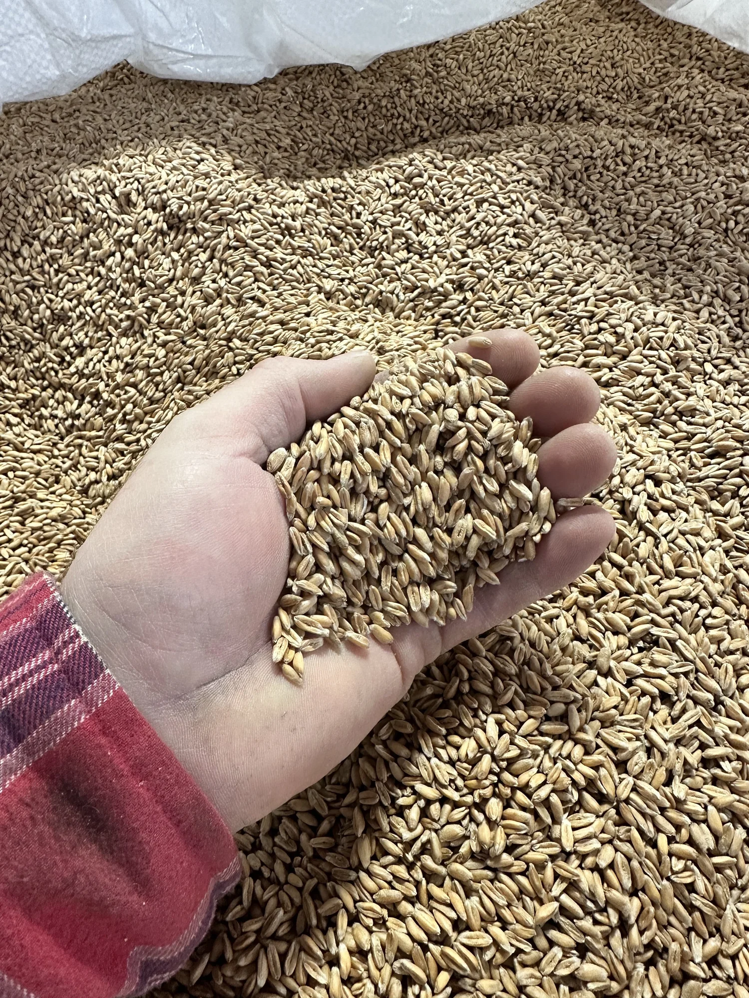 Shop — Ohio Till Farmstead