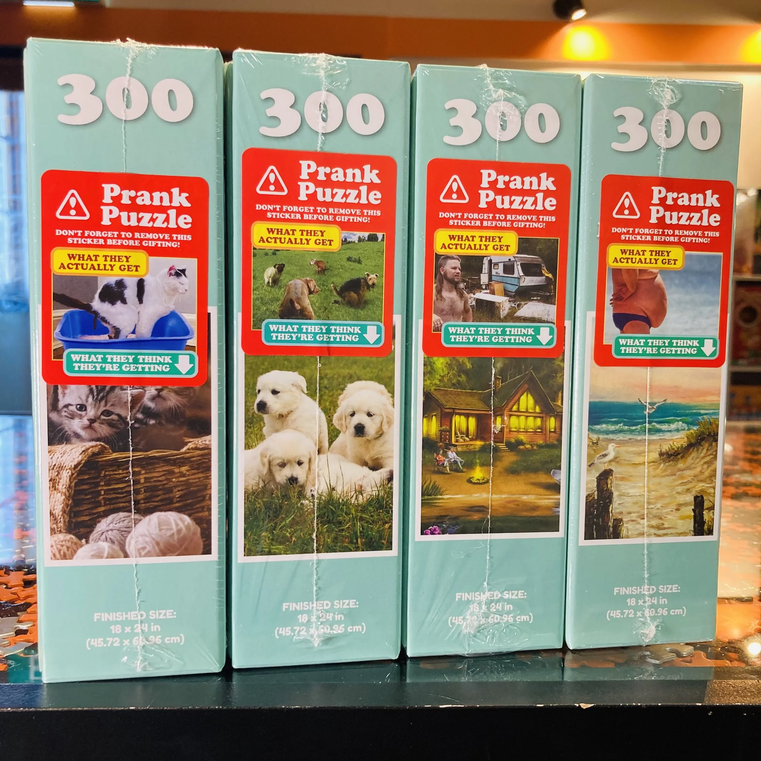 Doing Things Cabin Prank Puzzle 300 pieces — SOLVE IT AND ESCAPE