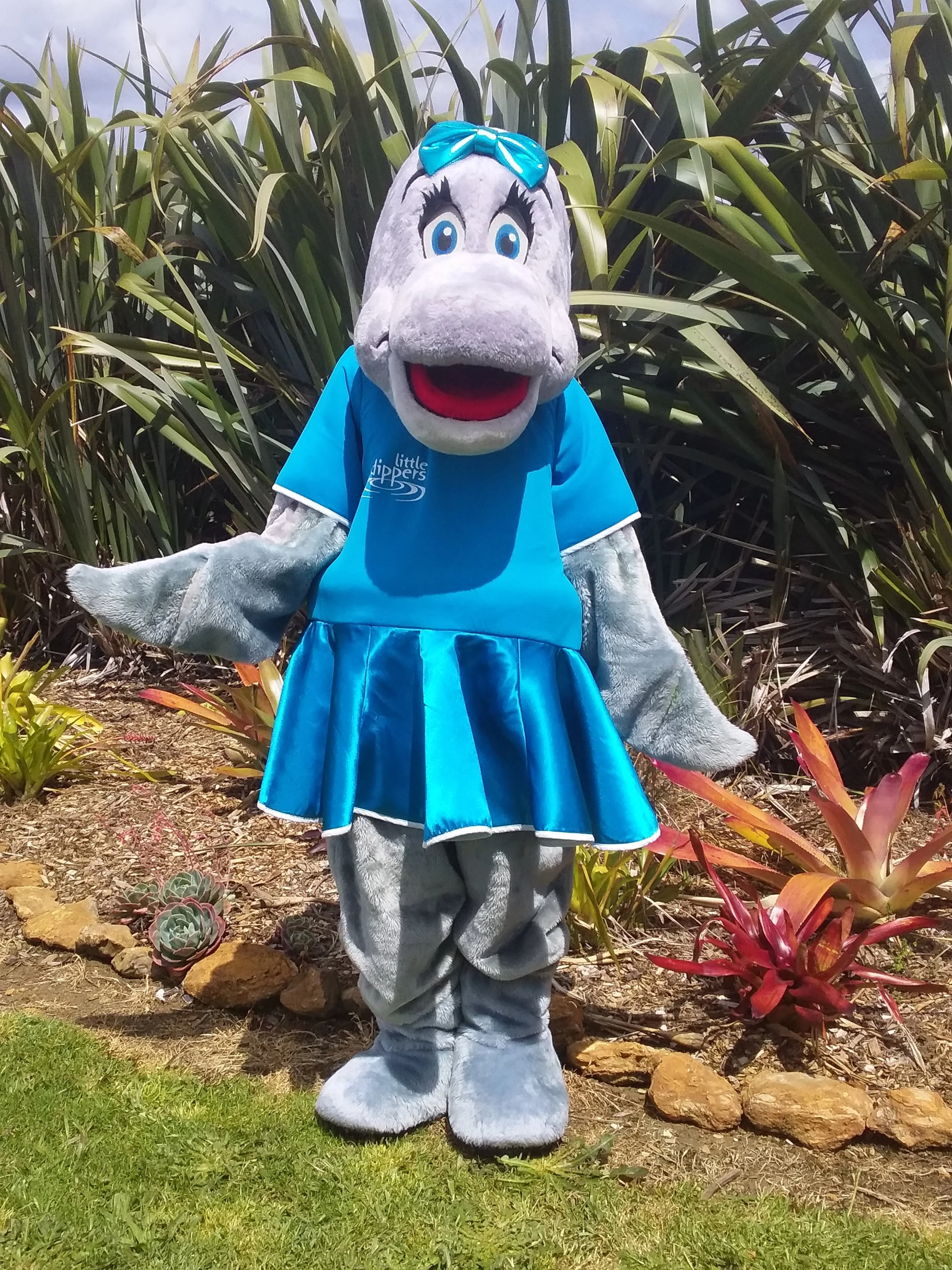 Little Dippers Aquatic Centre