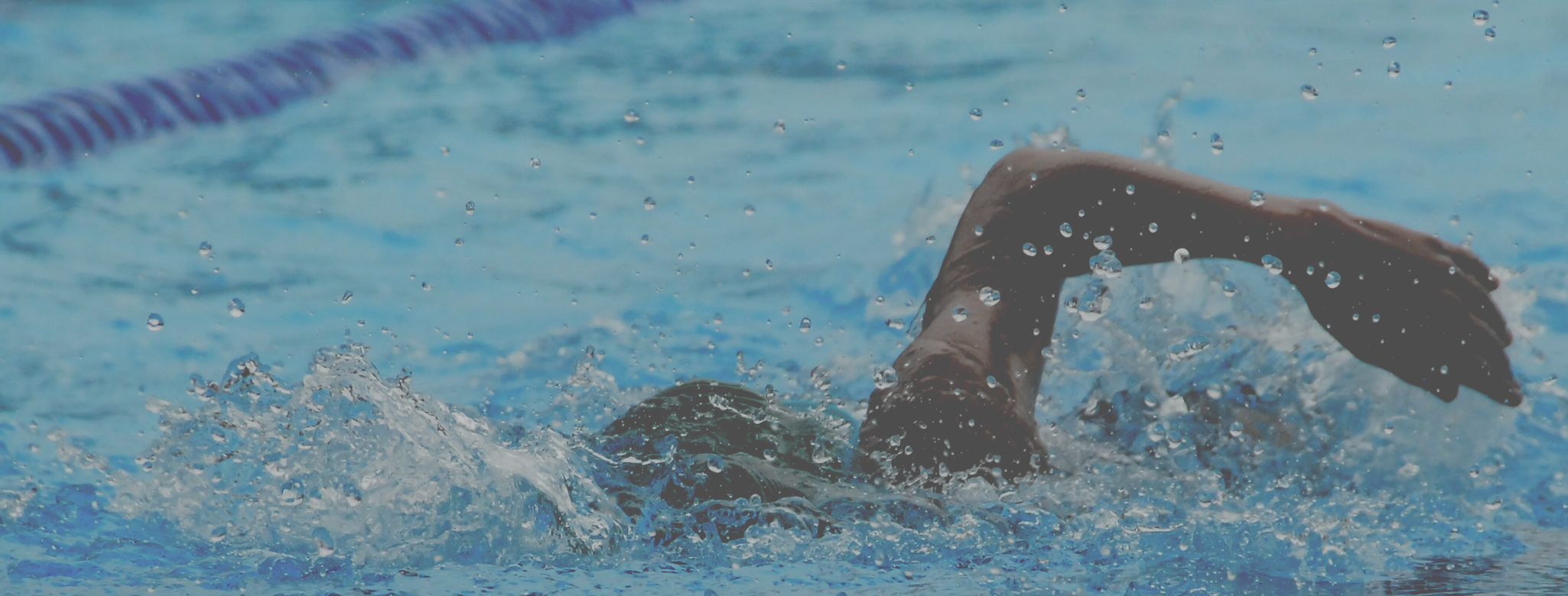 Little Dippers Aquatic Centre