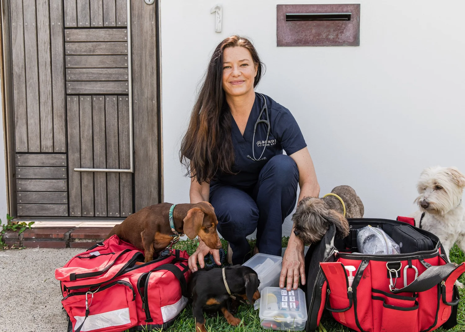 The Integrated Vet - Holistic Specialist in Animal Homeopathy