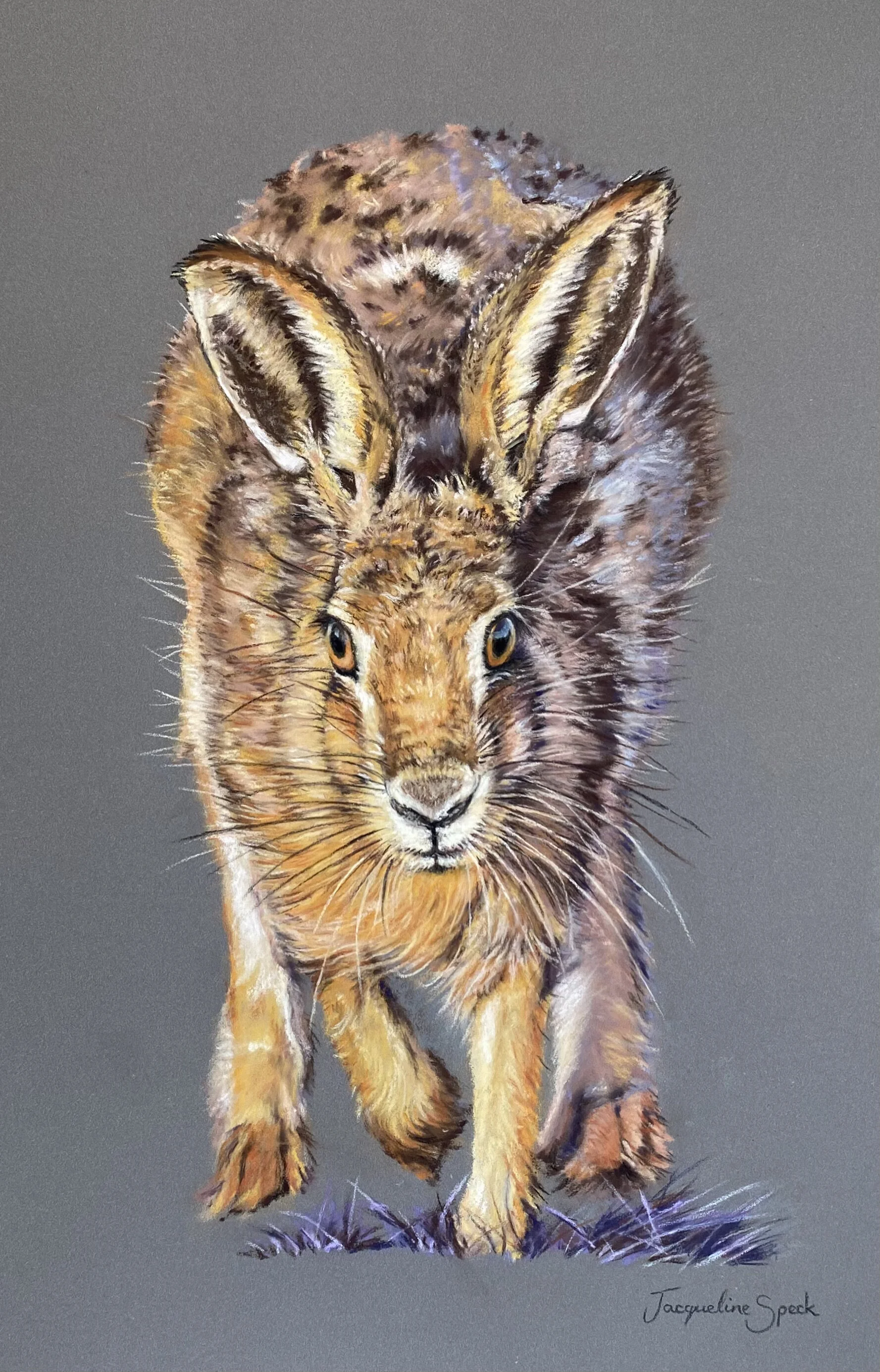 British Wildlife — Jacqueline Speck Art - Pet Portrait & Wildlife ...