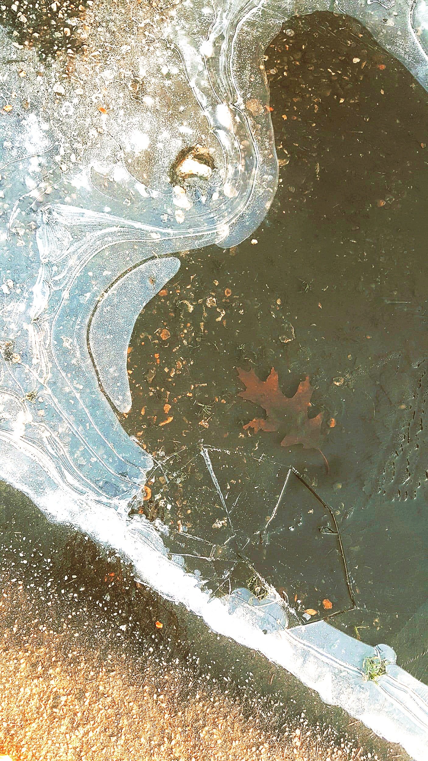 Environmental Science — Whitaker Lab & Engineering