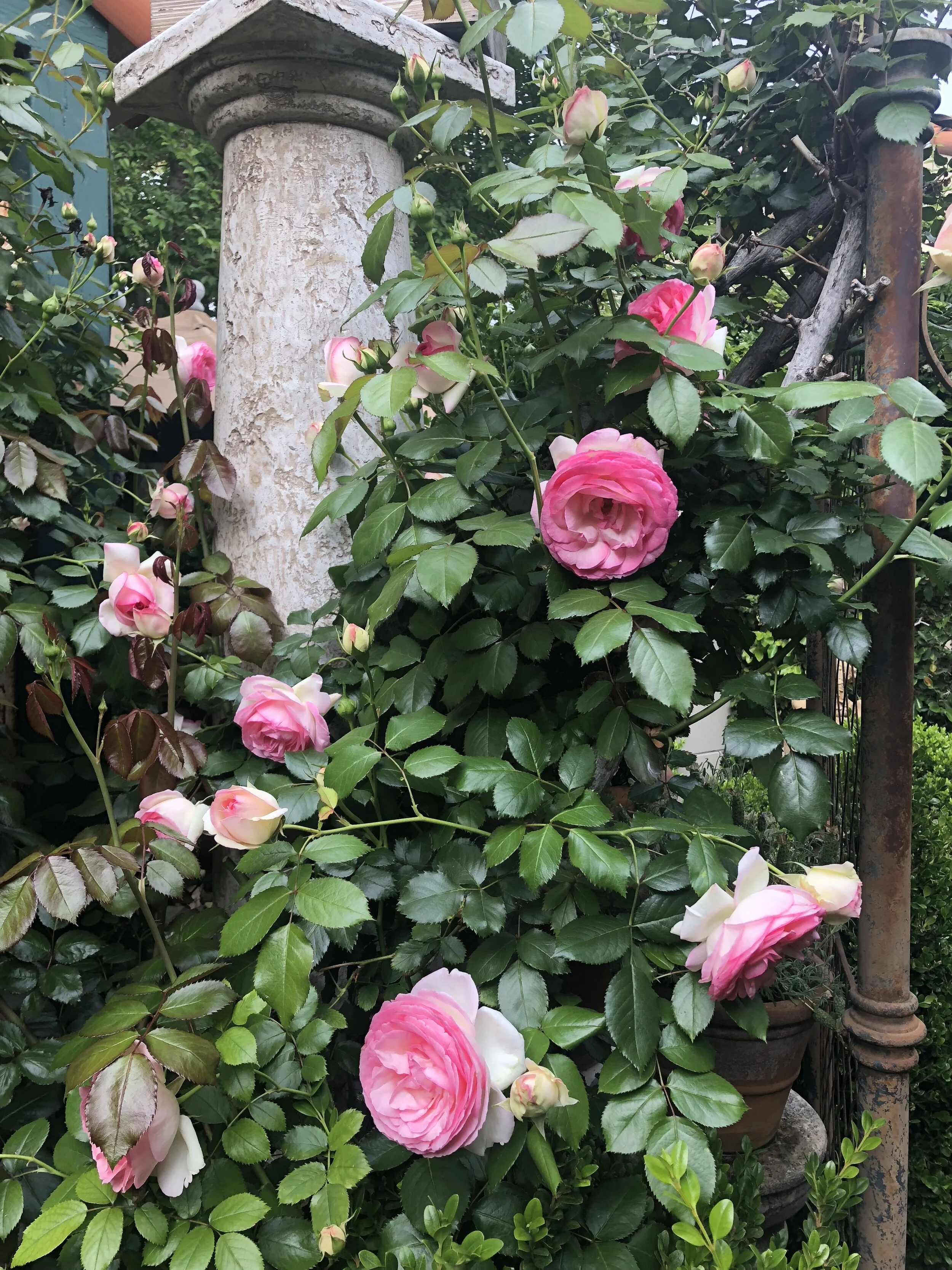 GARDEN DESIGN — Le Potager