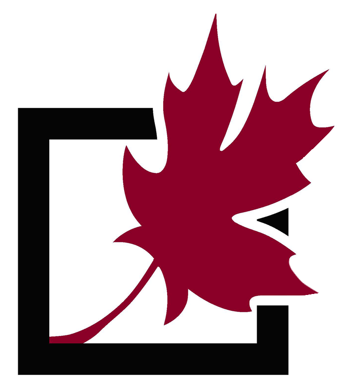 tax-accountant-brannen-cpa-services