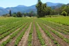 Local Farms & Ranches — Rogue Valley Farm Tour
