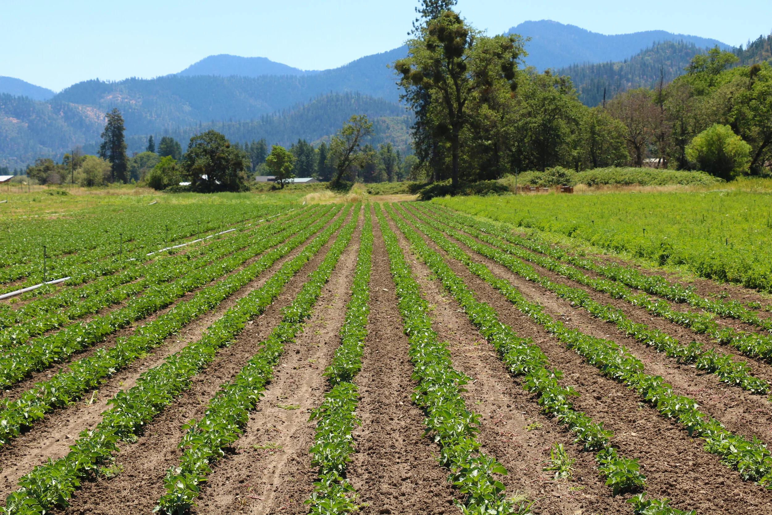 Local Farms & Ranches — Rogue Valley Farm Tour
