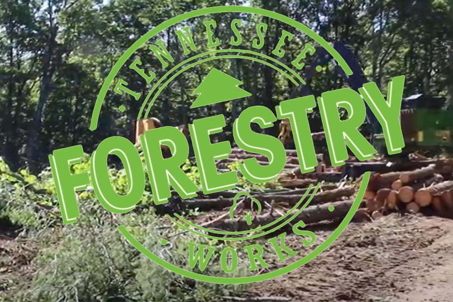 Workforce Development — Tennessee Forestry Association