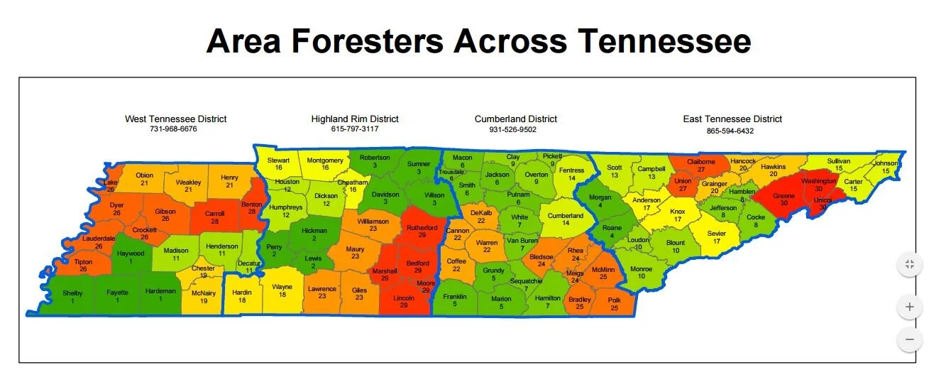 Tennessee Tree Farm Program — Tennessee Forestry Association