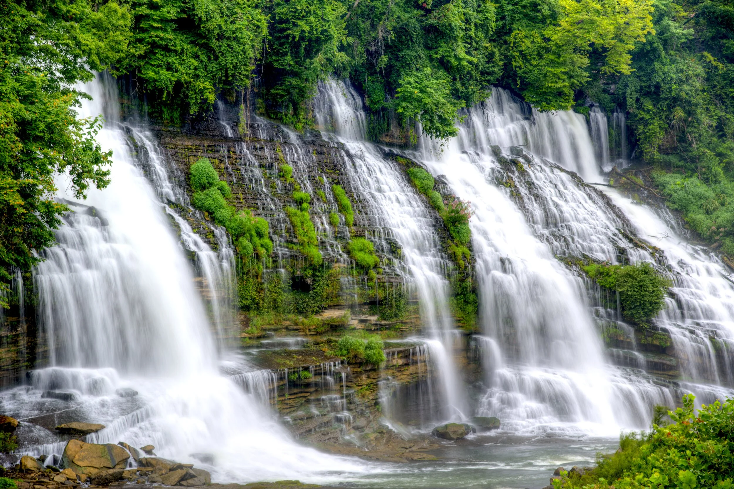 Board Of Directors — Tennessee Forestry Association