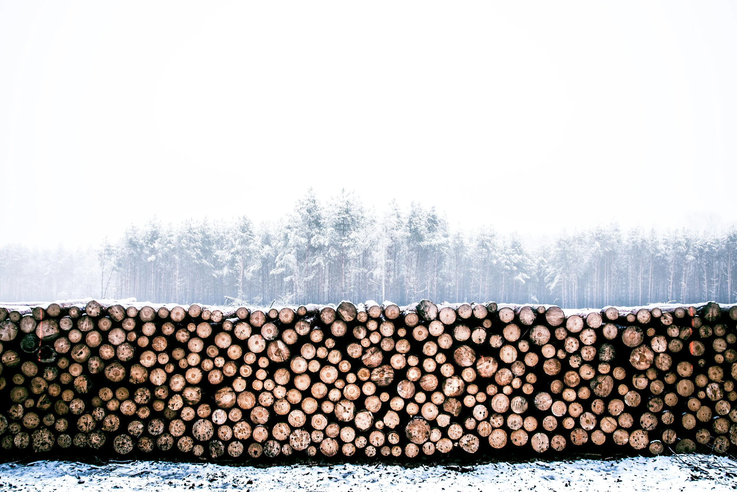 Master Logger Continuing Ed — Tennessee Forestry Association