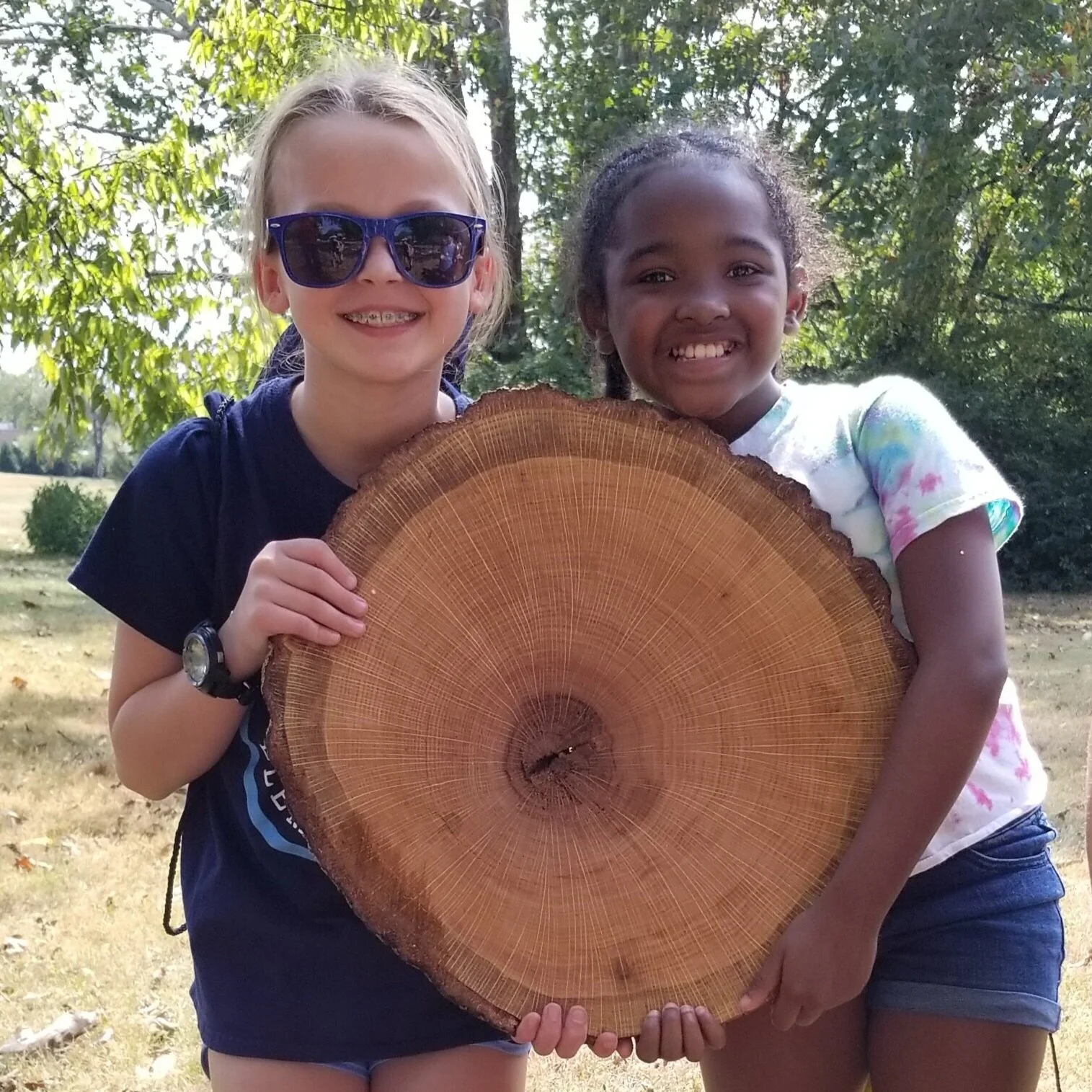 Tennessee Forestry Association