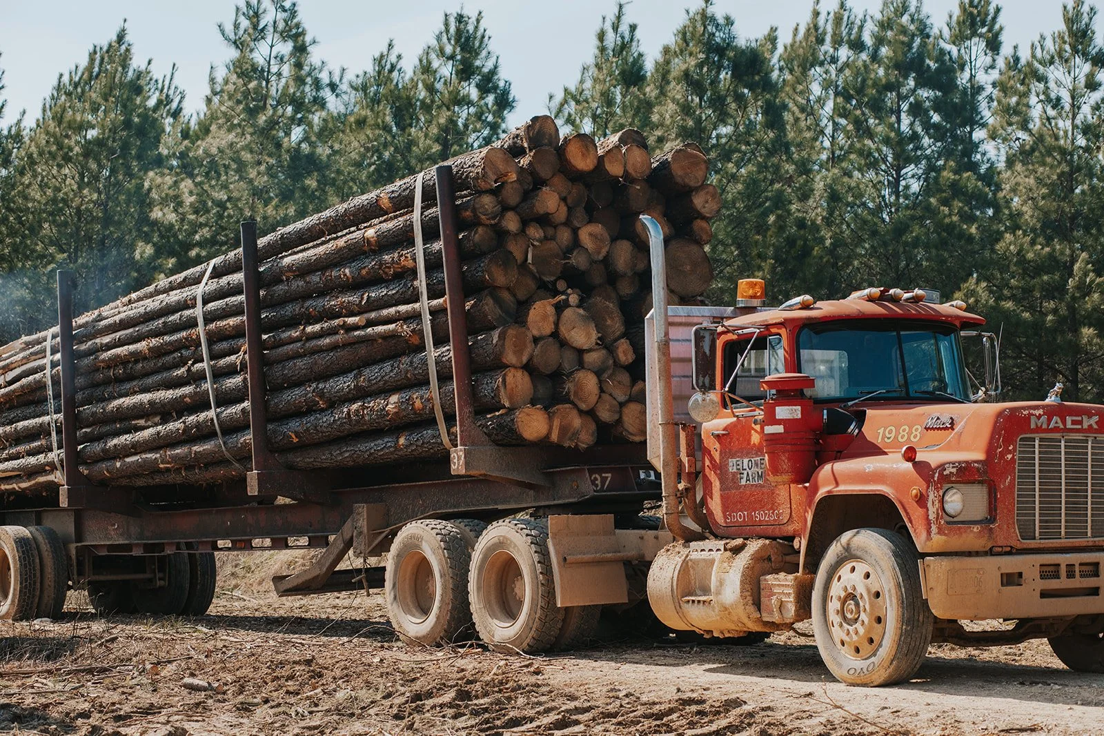 Tennessee Forestry Association