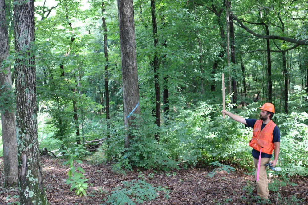 Tennessee Forest Worker Certification — Tennessee Forestry Association