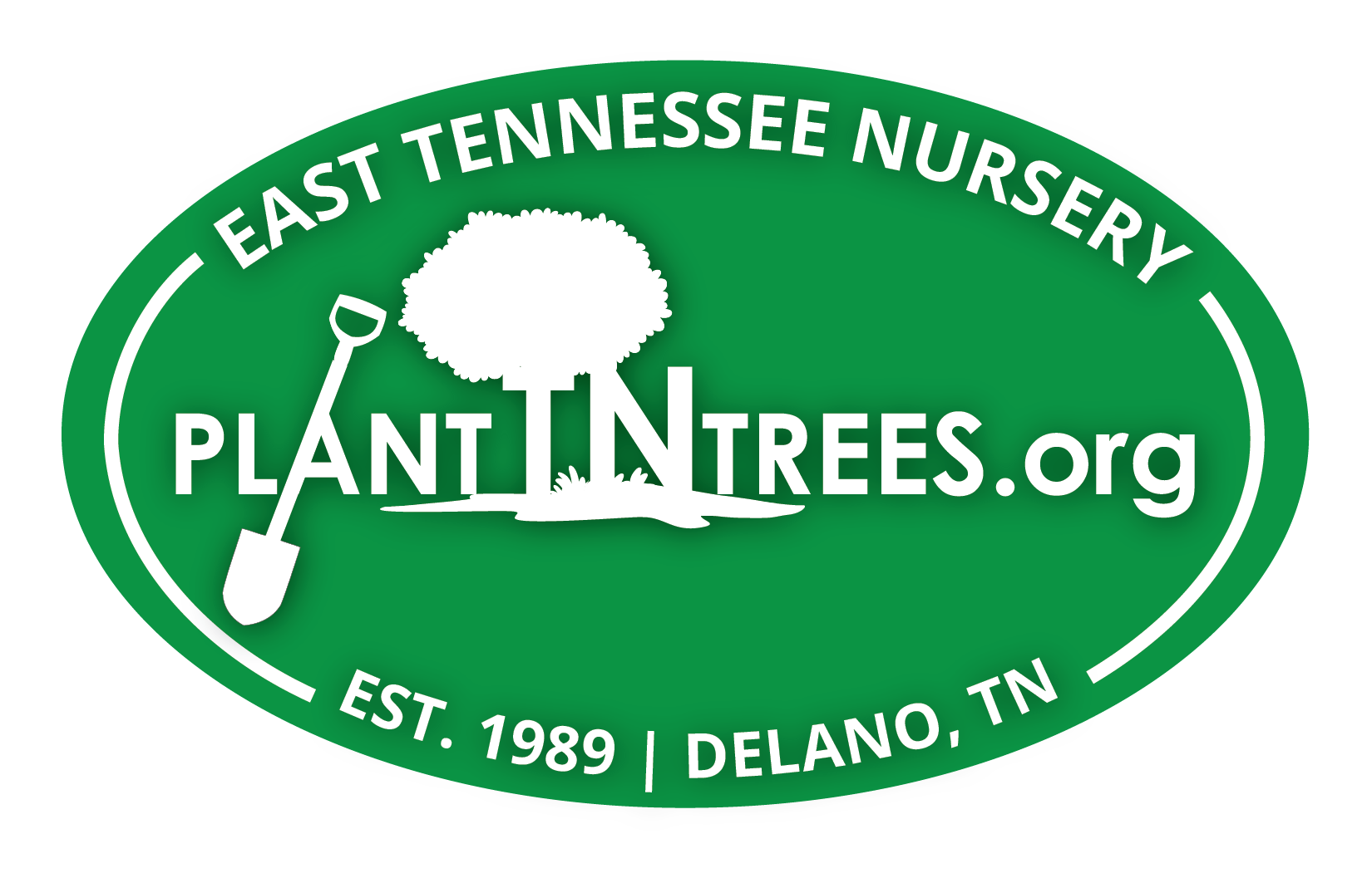 White Oak Acorn Collection — Tennessee Forestry Association