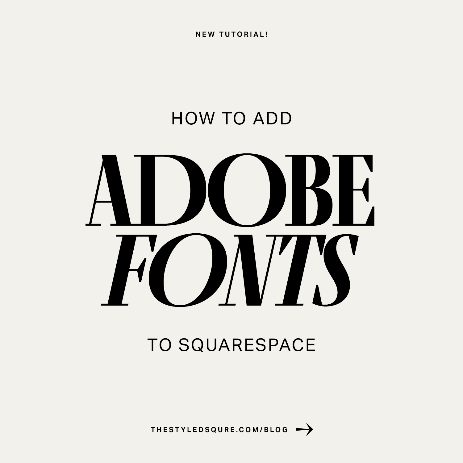 The Styled Square | Premium Squarespace Website Templates