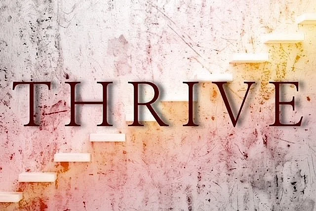 Thrive Conference — Elevation Church