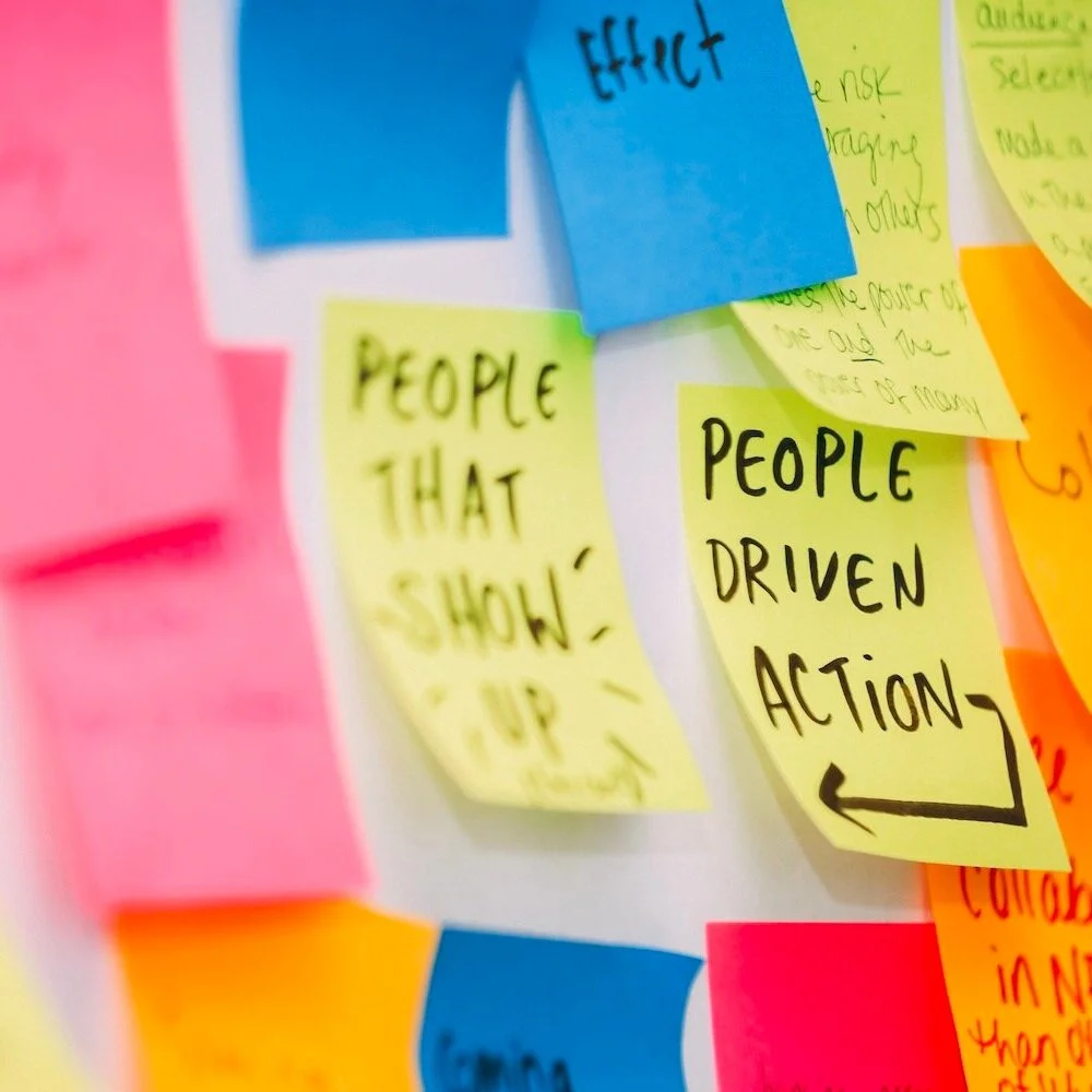 Northeast Kingdom Collaborative