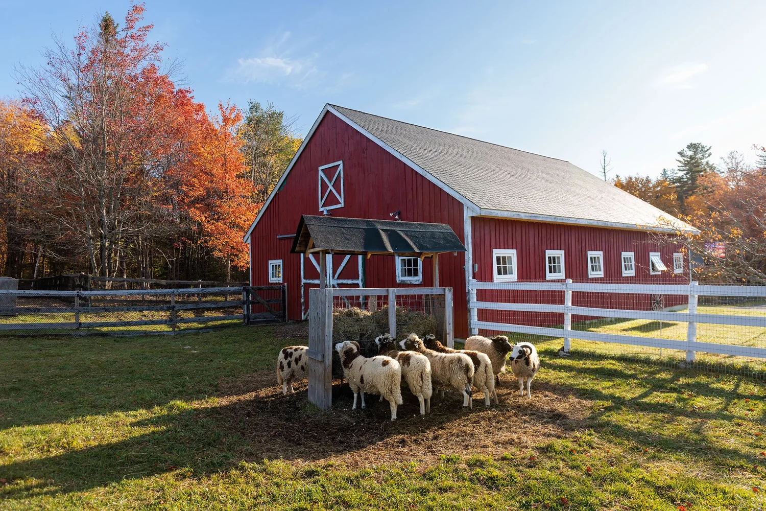 Berkshire Farm Sanctuary