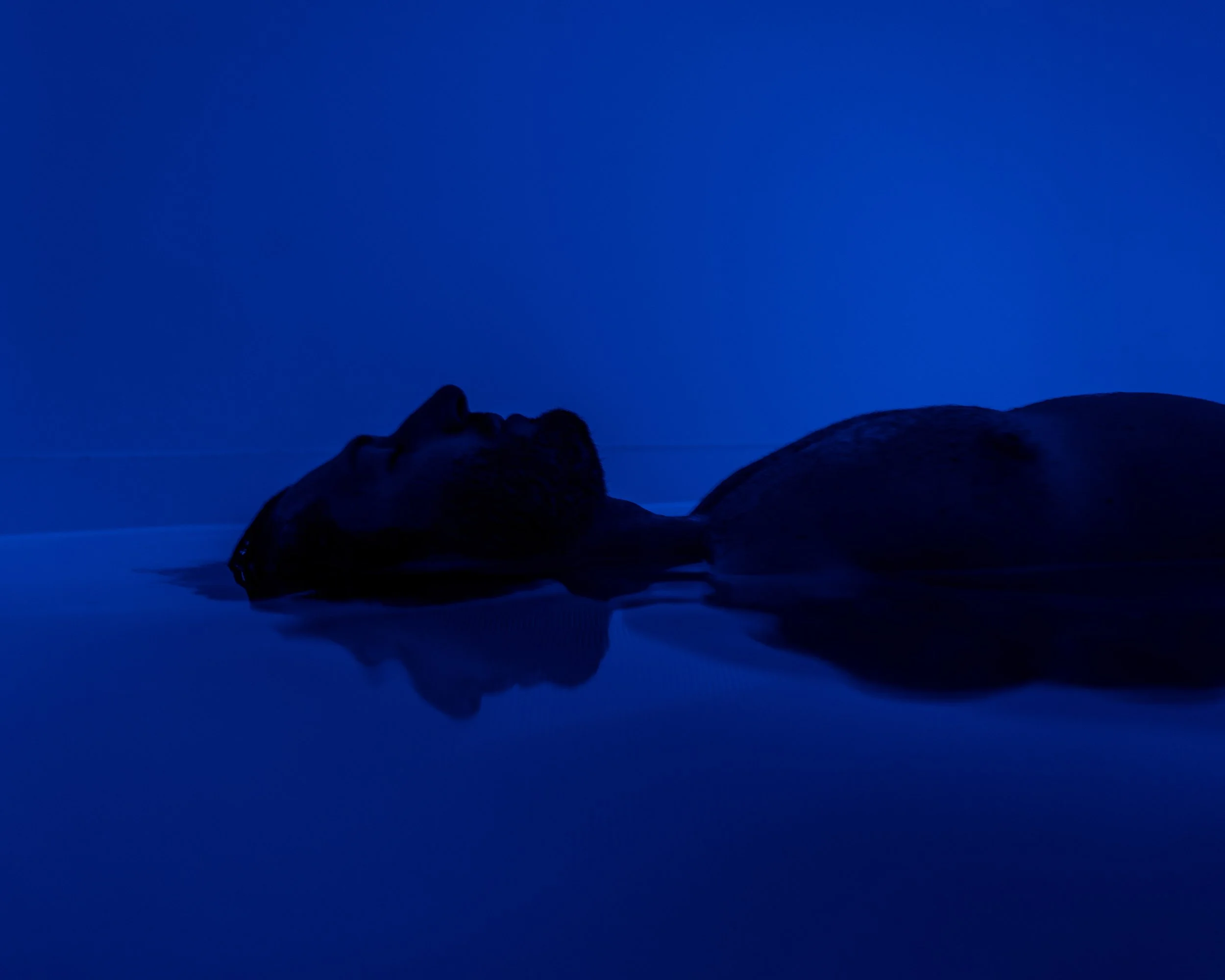 Victory Float | Pittsburgh Float Tank