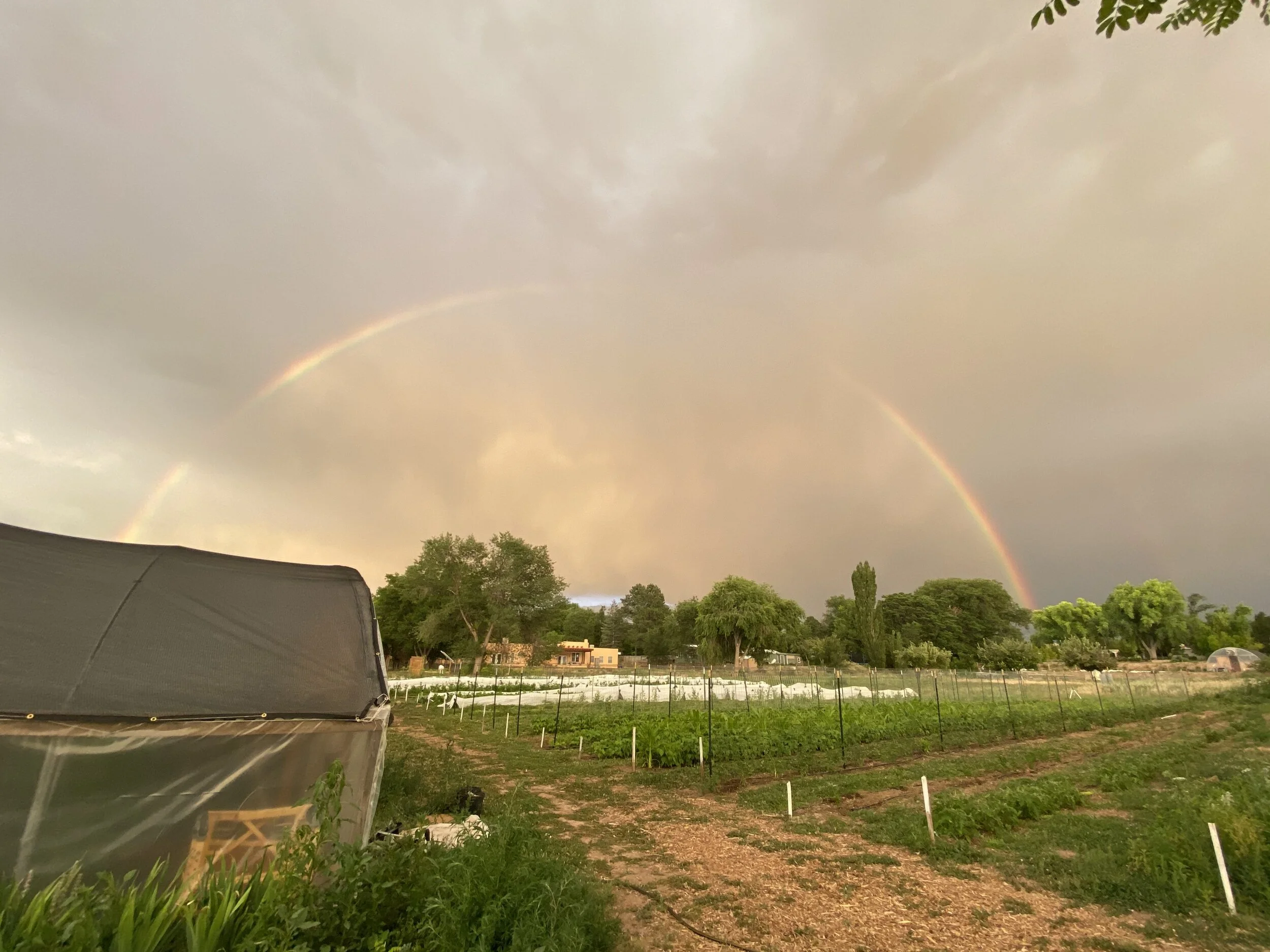 Khalsa Family Farms