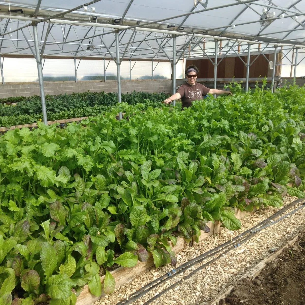 Khalsa Family Farms