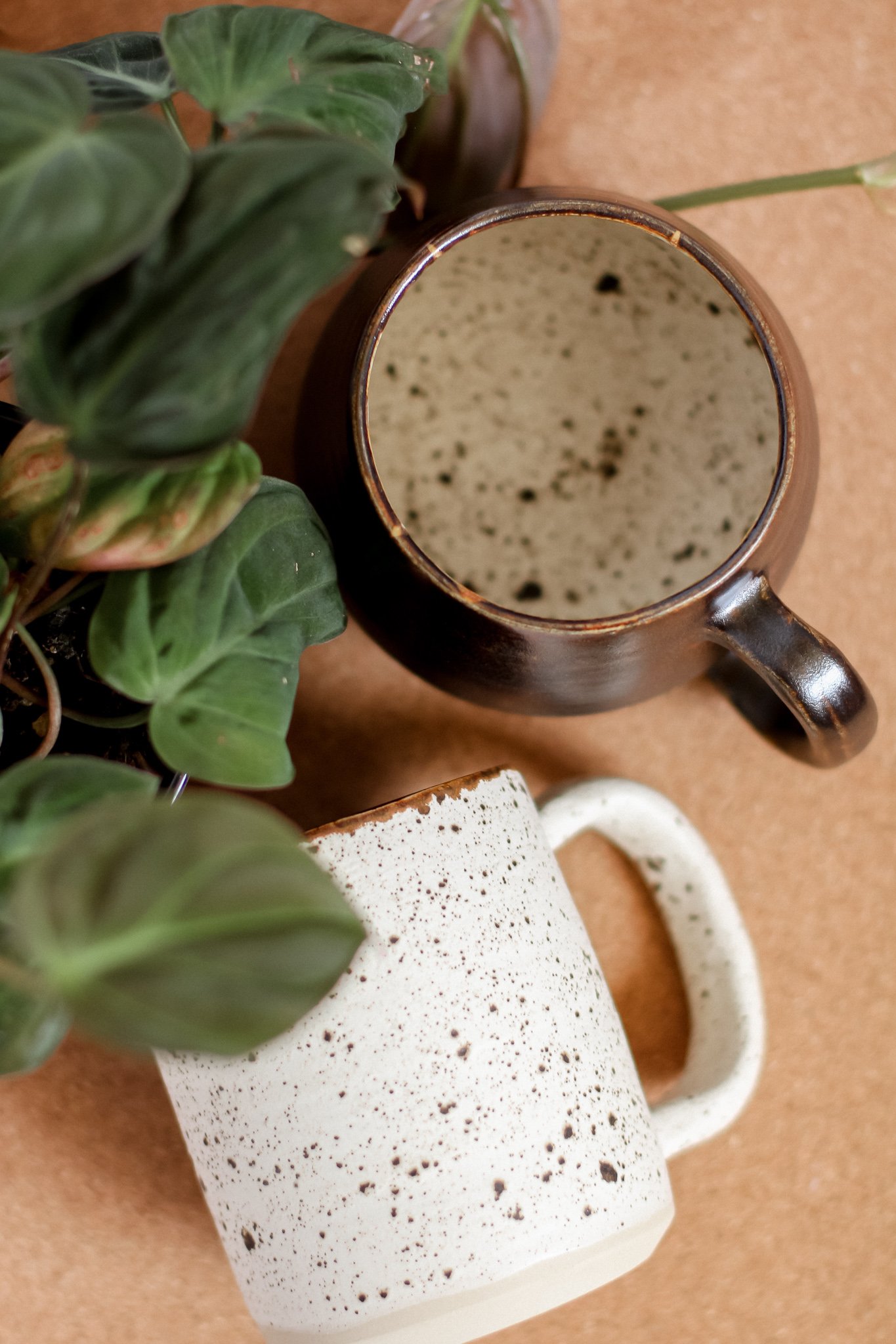 Gallery — Pennington Design