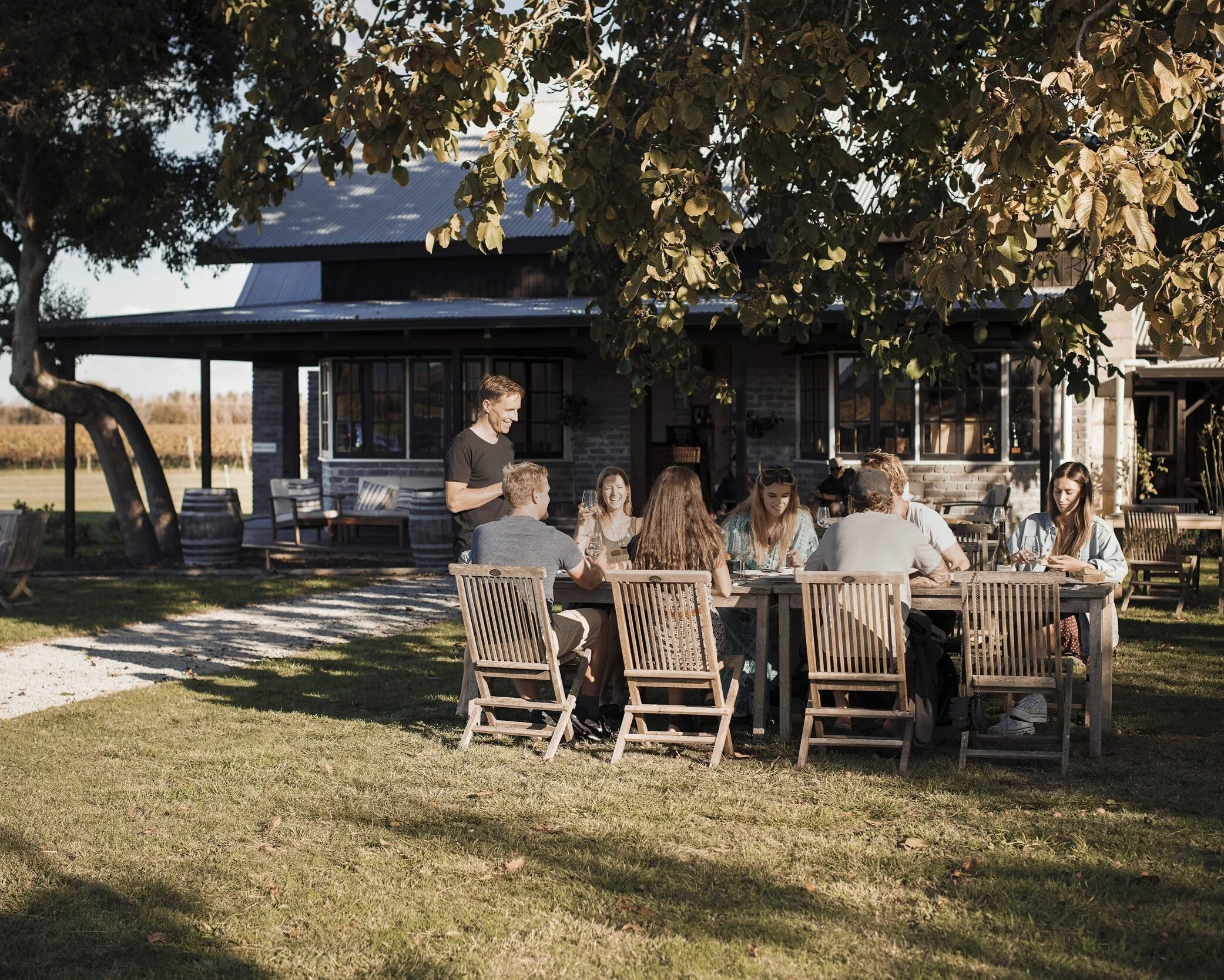 Best wineries in Gisborne | Absolute Gisborne