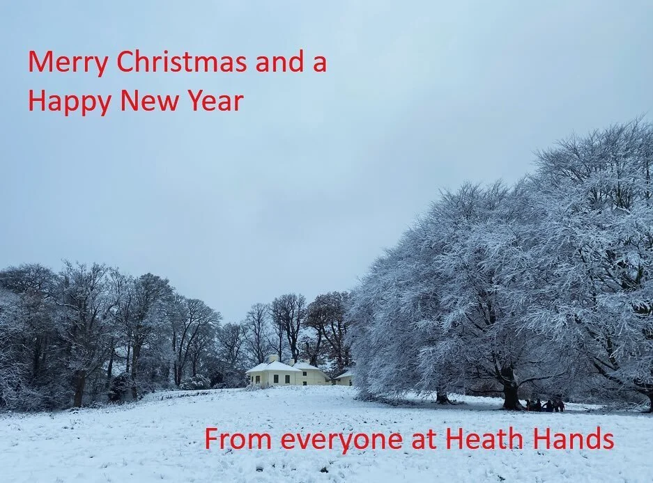 Hampstead Heath | Conservation, Community and Volunteering