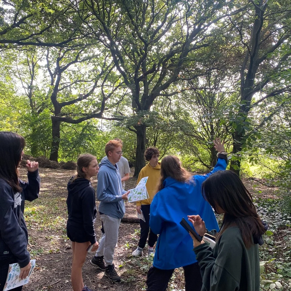 Hampstead Heath | Conservation, Community and Volunteering