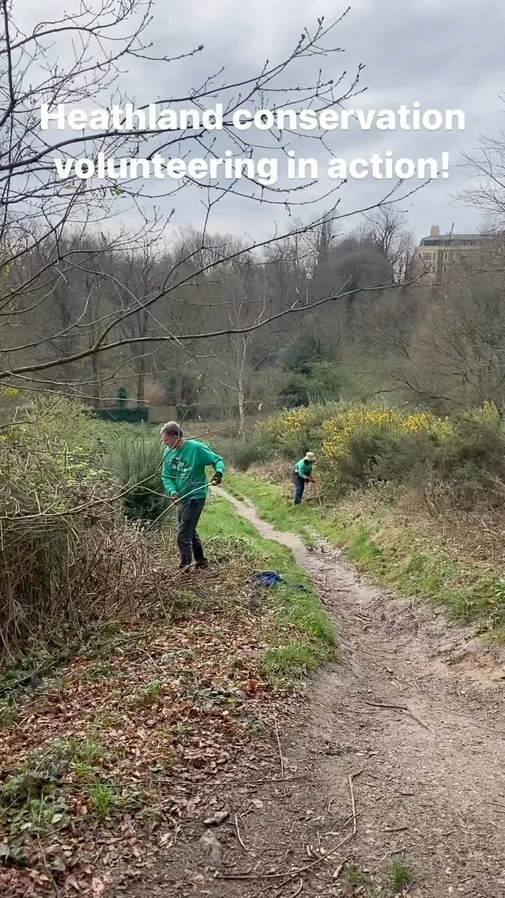 Hampstead Heath | Conservation, Community and Volunteering