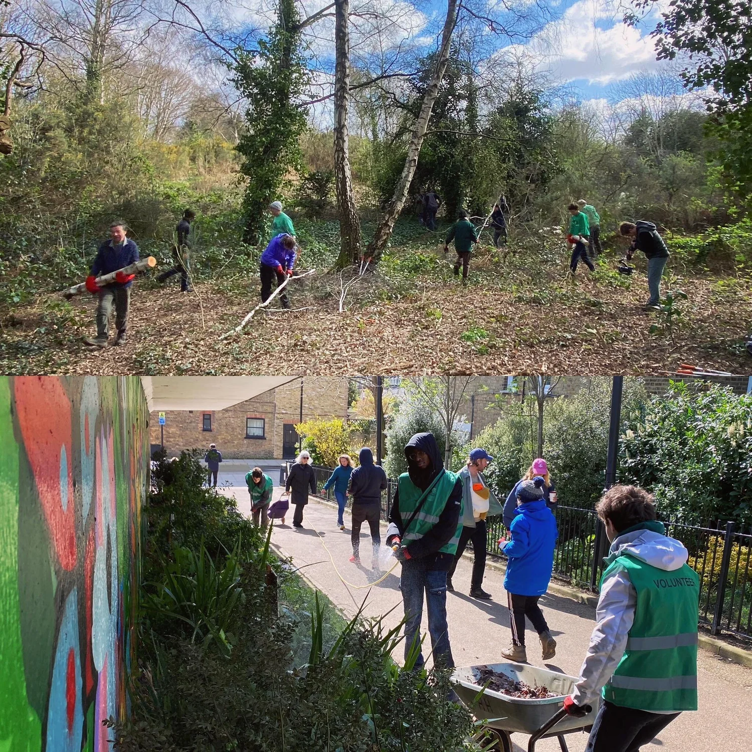 Hampstead Heath | Conservation, Community and Volunteering