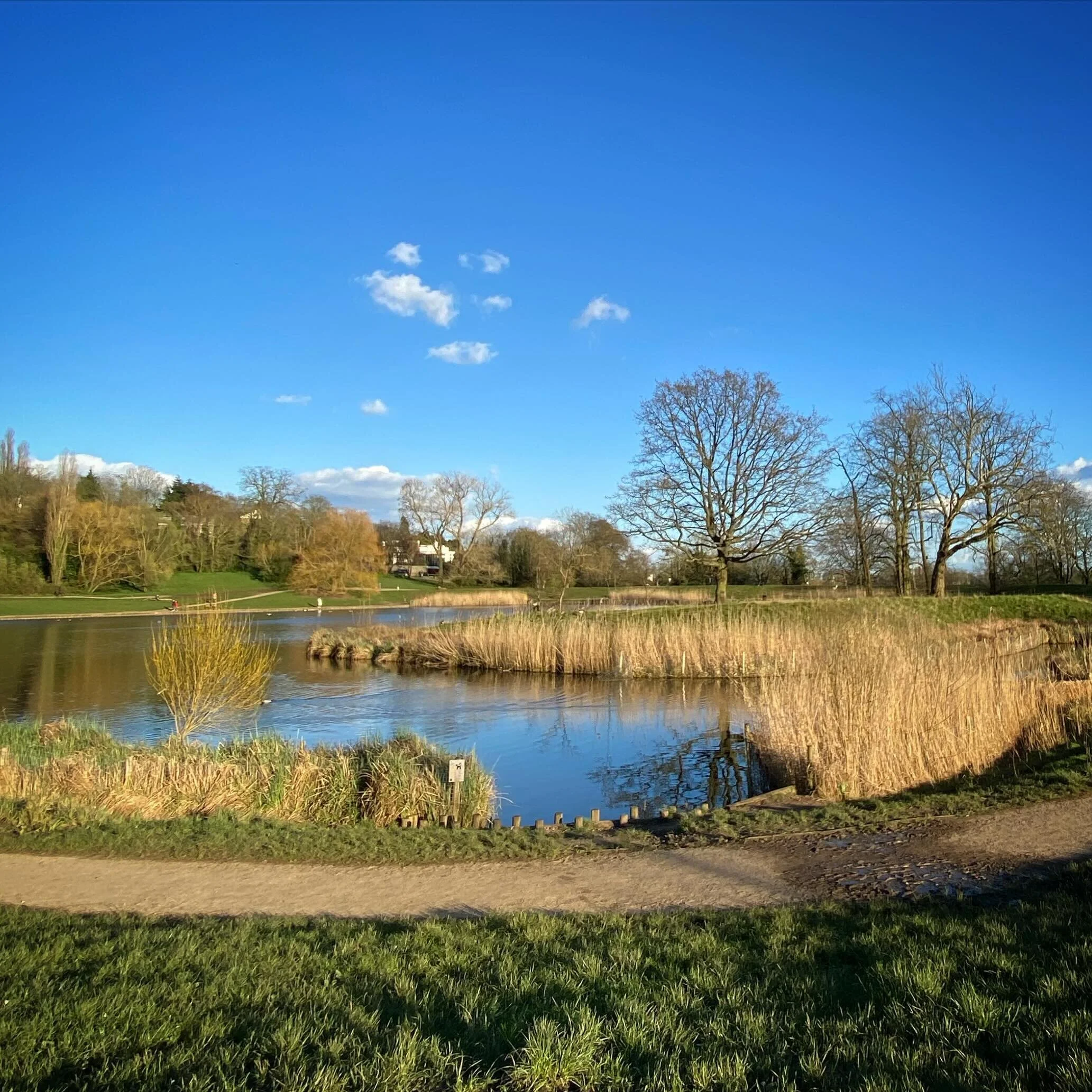 Hampstead Heath | Conservation, Community and Volunteering