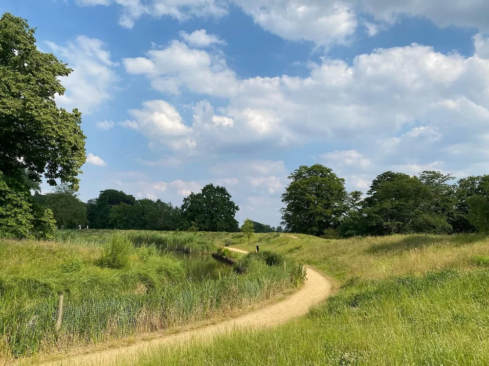 Hampstead Heath | Conservation, Community and Volunteering