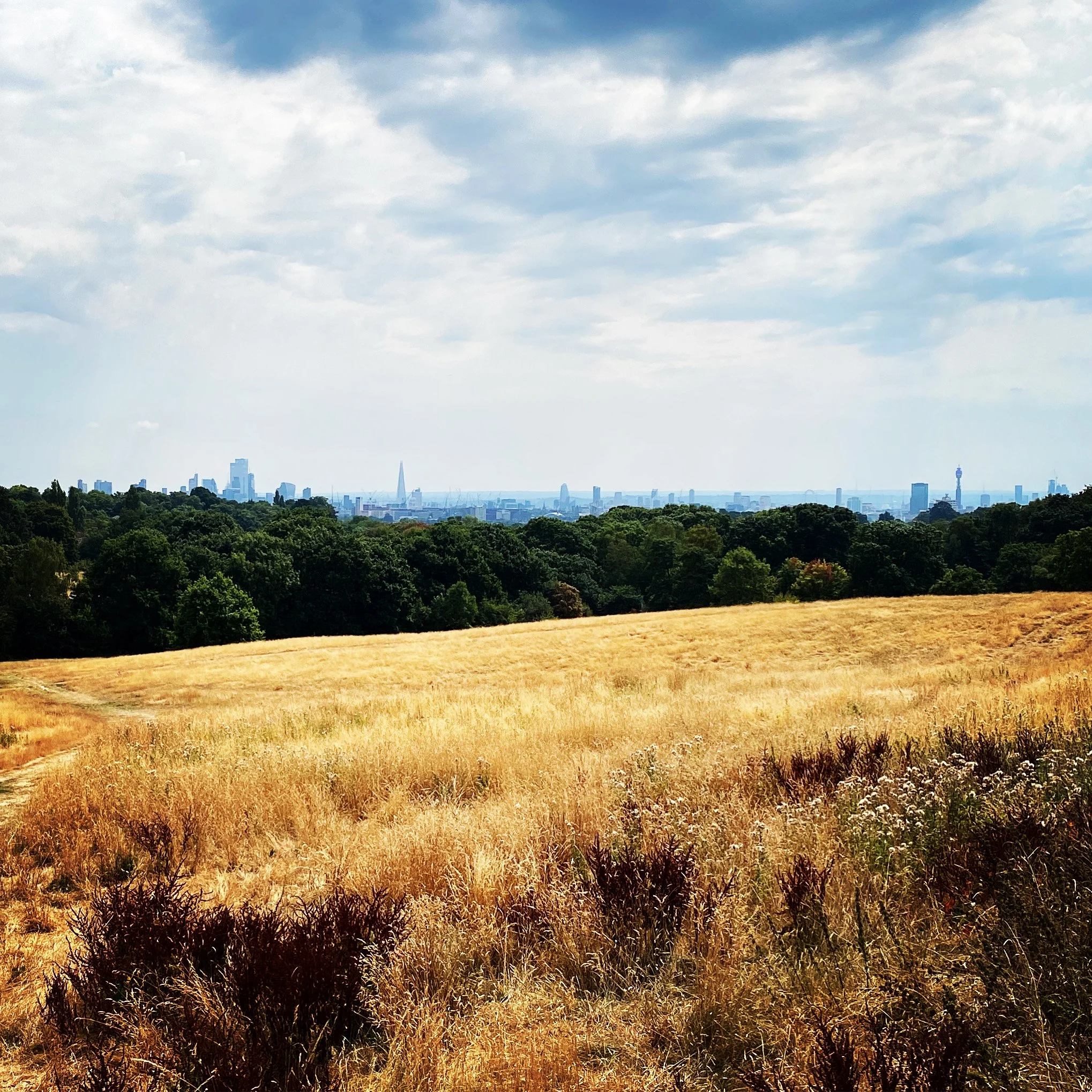 Our Green Spaces — Hampstead Heath - Conservation, Community and ...