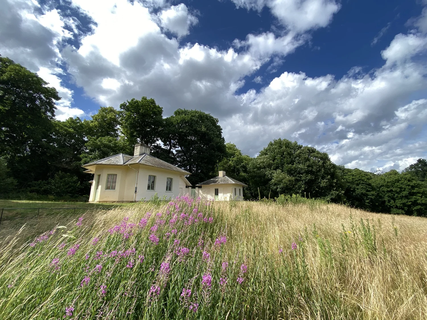 Support Hampstead Heath | Support us at Heath Hands — Hampstead Heath ...