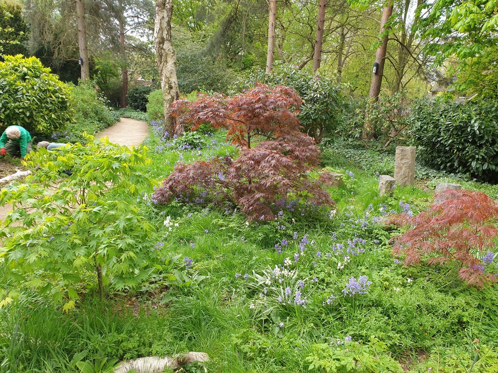 Gardening at Whitestone — Hampstead Heath - Conservation, Community and ...