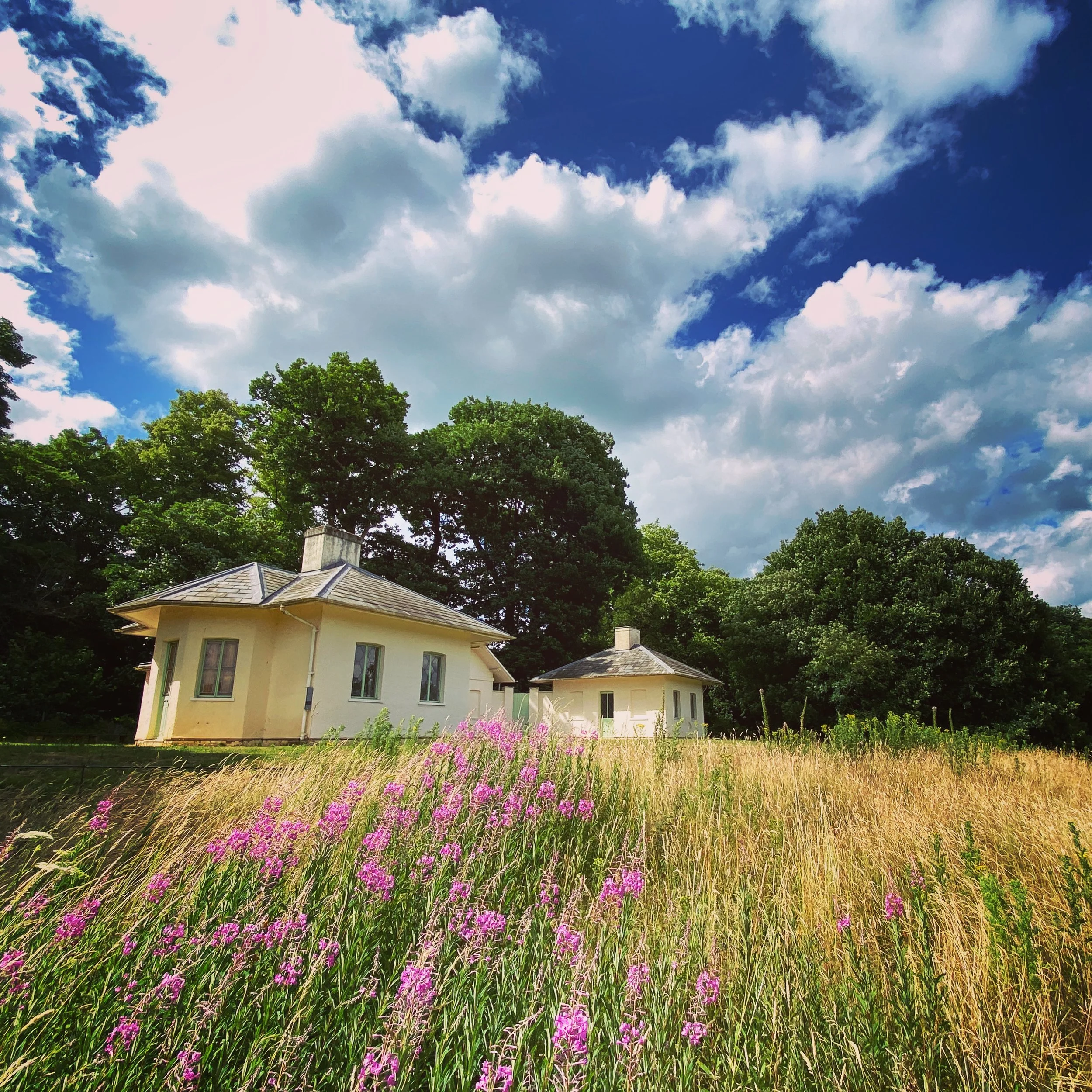 Our Green Spaces — Hampstead Heath - Conservation, Community and ...