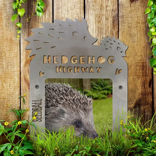 Hedgehog Friendly Heath — Hampstead Heath - Conservation, Community and ...