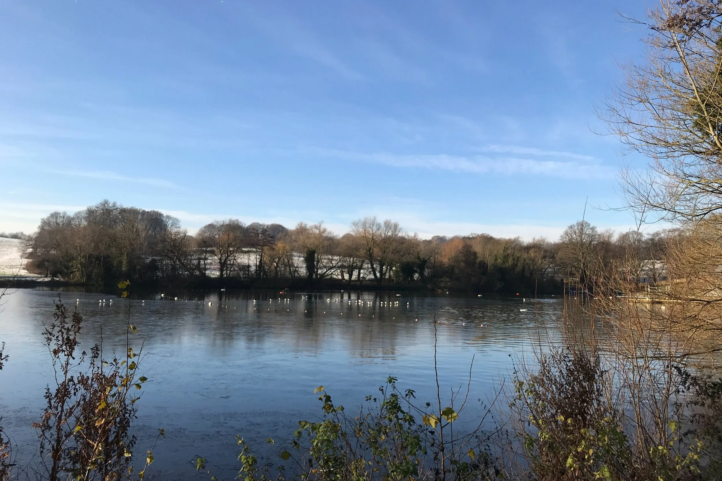Hampstead Heath swimming ponds — Hampstead Heath - Conservation ...