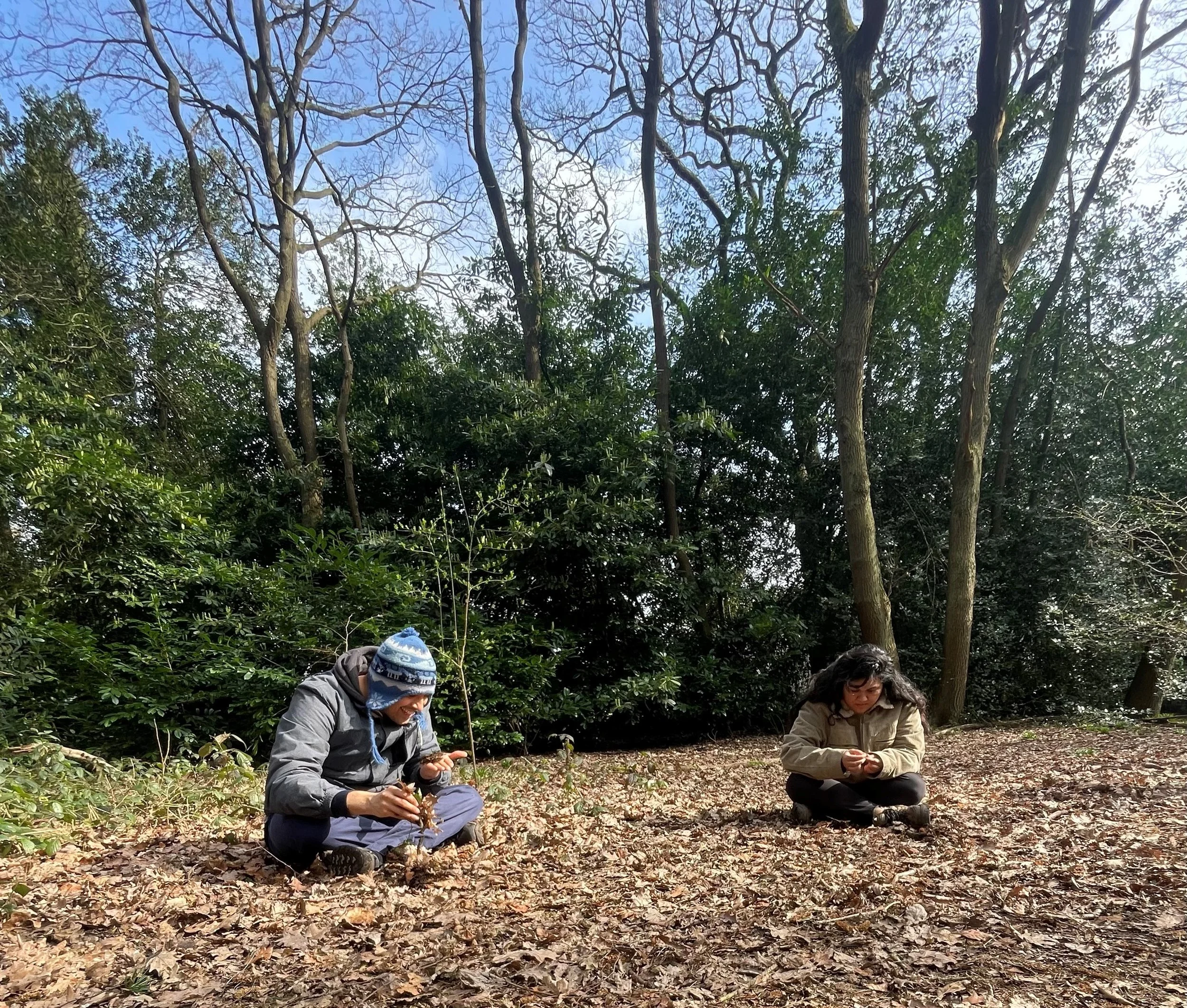 Forest Bathing — Hampstead Heath - Conservation, Community and Volunteering